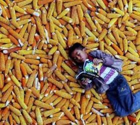 China Decides: We'll Eat The Corn, We Won't Drive It | The Truth About Cars