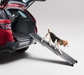 Going to the Dogs: Land Rover Launches New Range of 'Premium Pet Packs ...