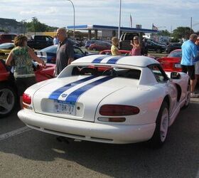 Viper Pit on Woodward - It Always Has to Be Snakes | The Truth About Cars