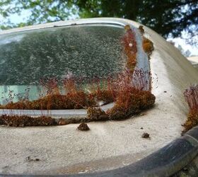 Curbside Classic Outtake: Bio-Cars | The Truth About Cars